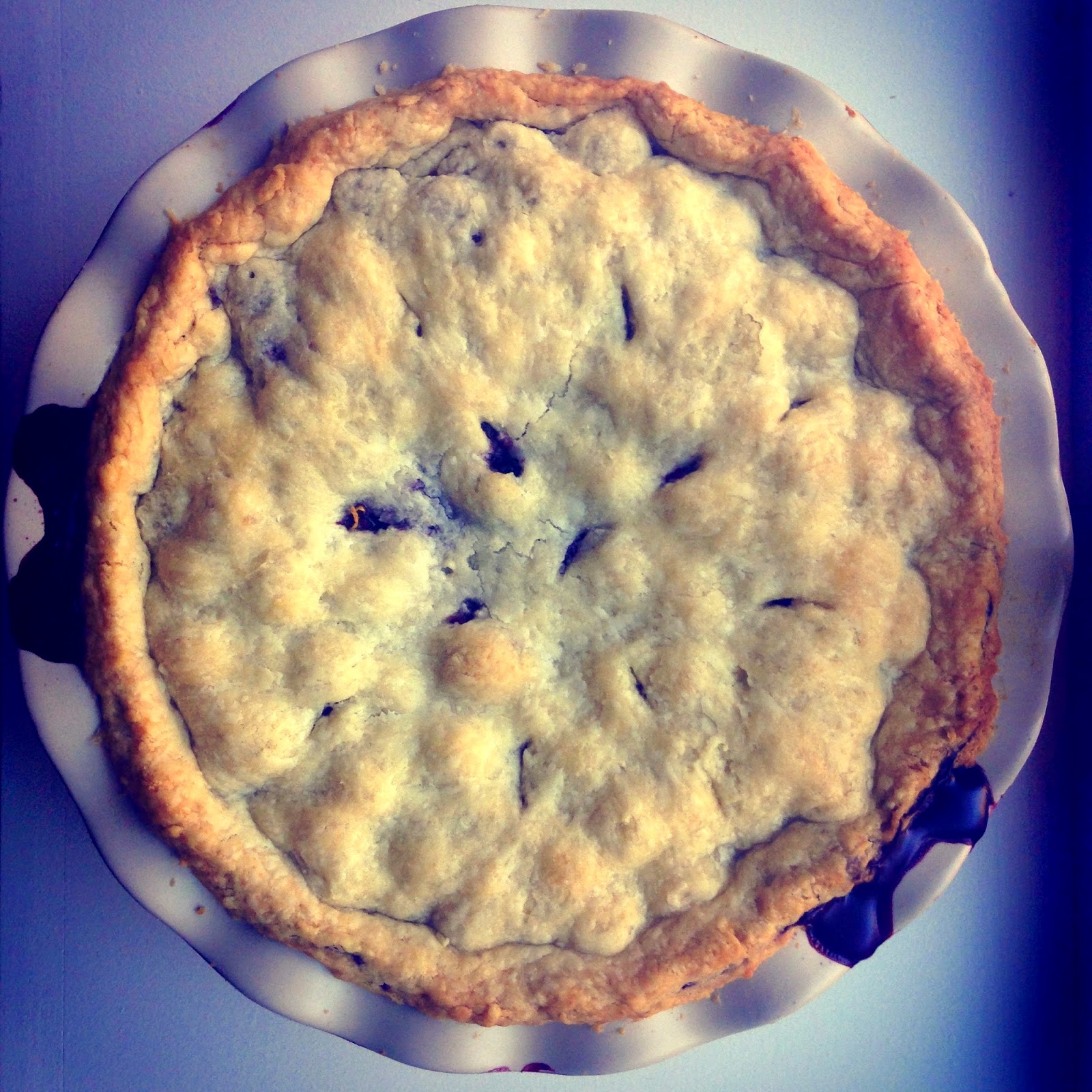 lovesmiths: The Pie Who Loved Me: Perfect Blueberry Pie